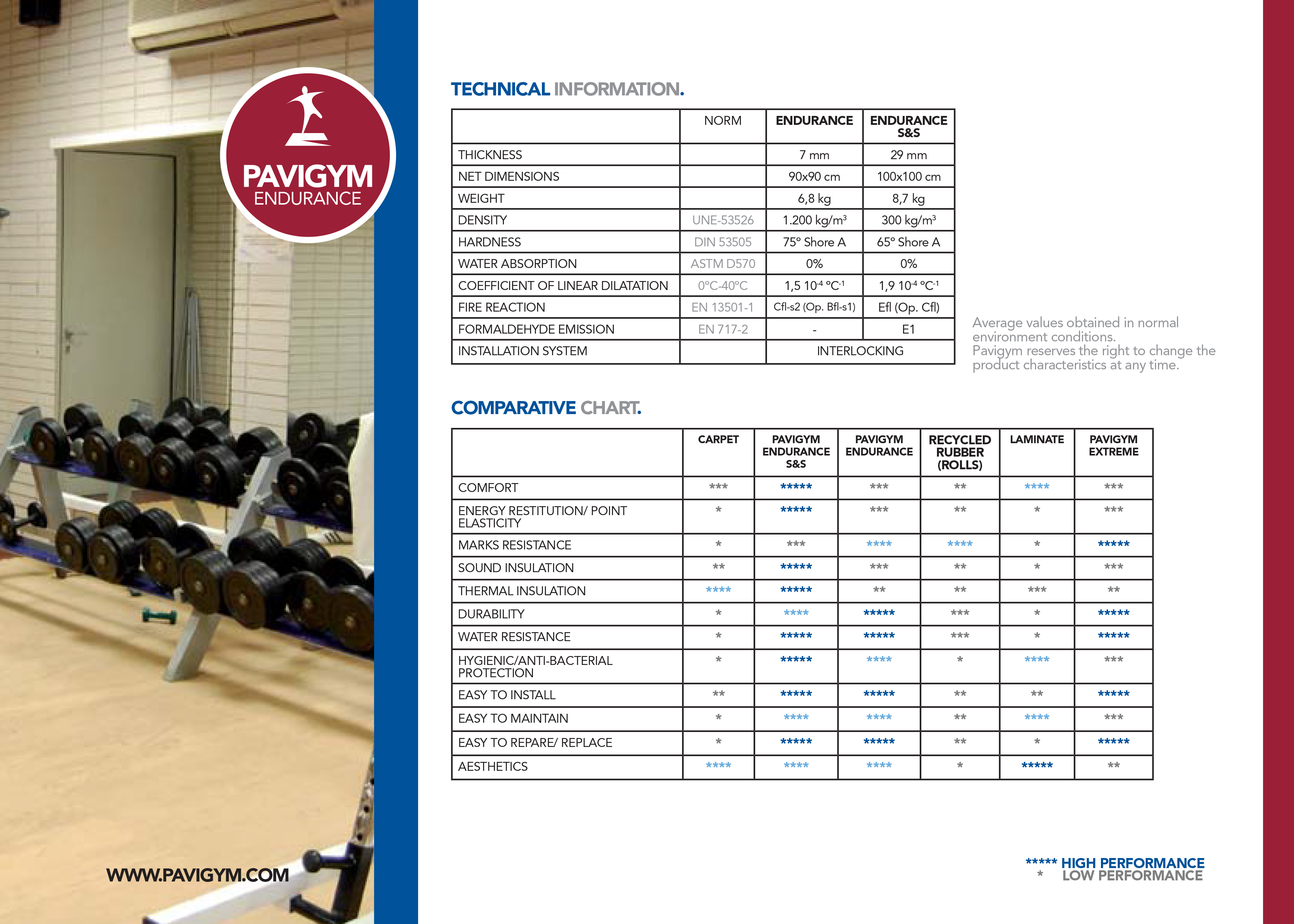 Fitness Excellence :: Fitness Floor :: Pavigym