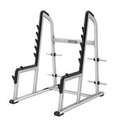 Fitness Excellence :: PRECOR 240i StretchTrainer™